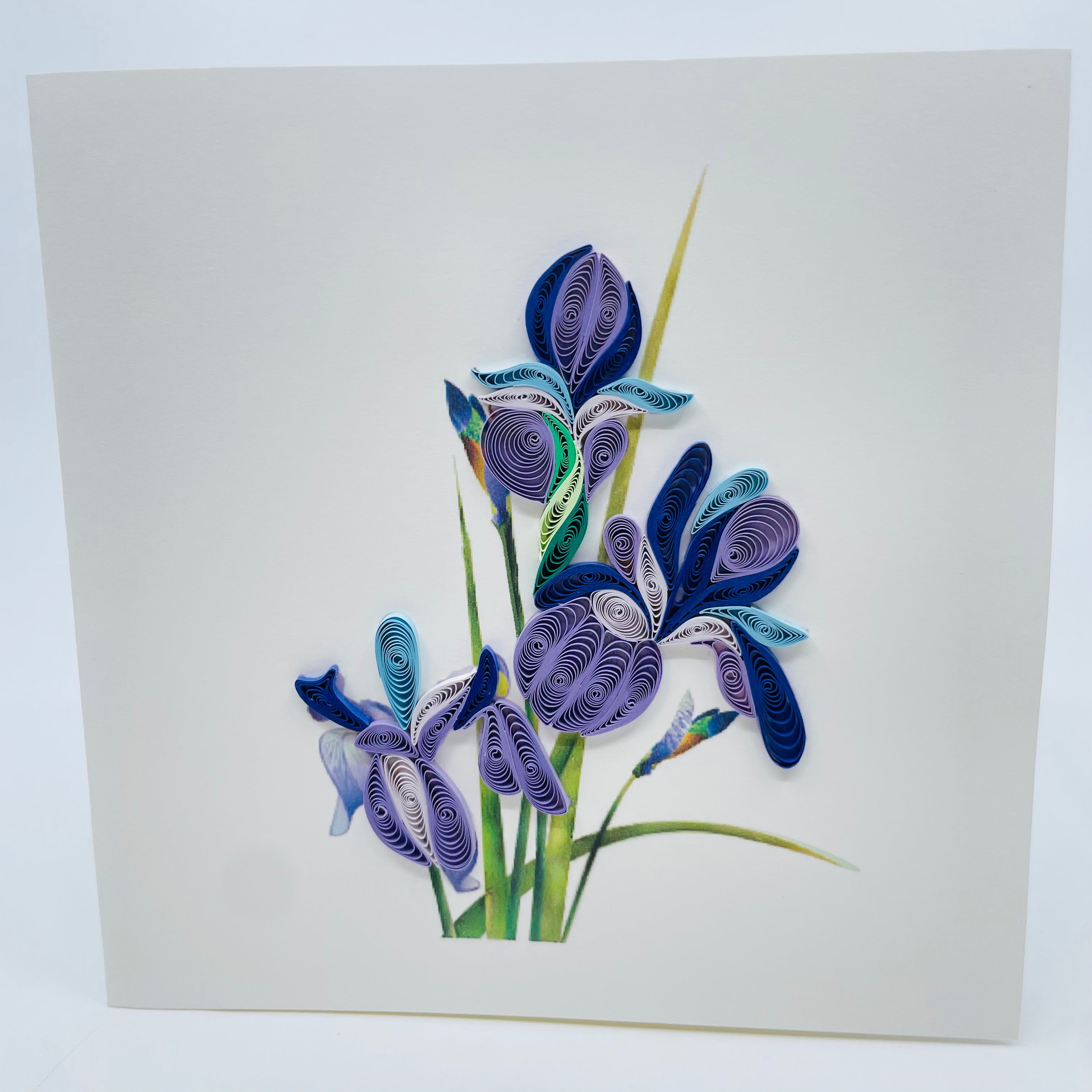 Quilling Art Card Iris – House Of Himwitsa