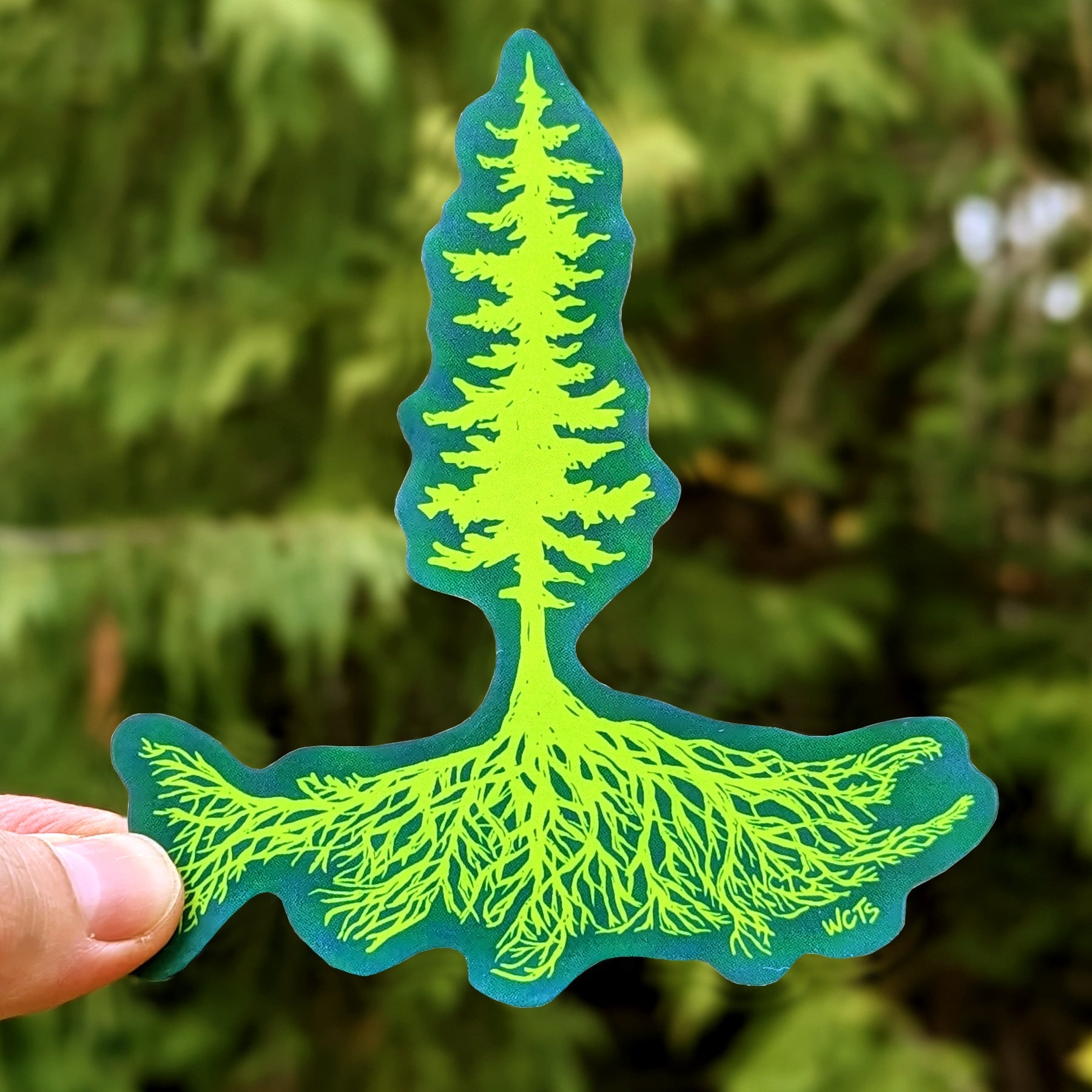 Westcoastees Sticker Salmon Roots – House Of Himwitsa